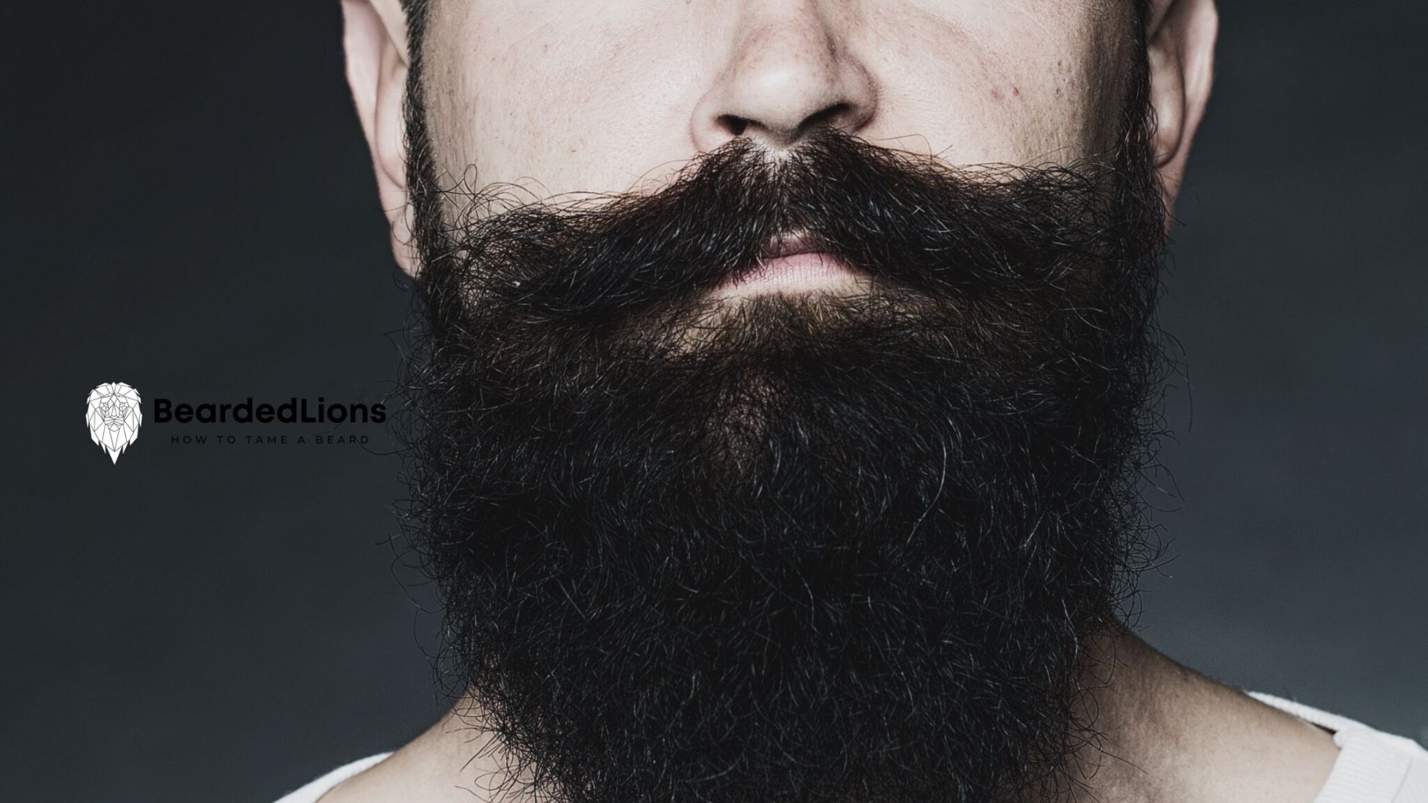 5 Types Of Beard Dye Options